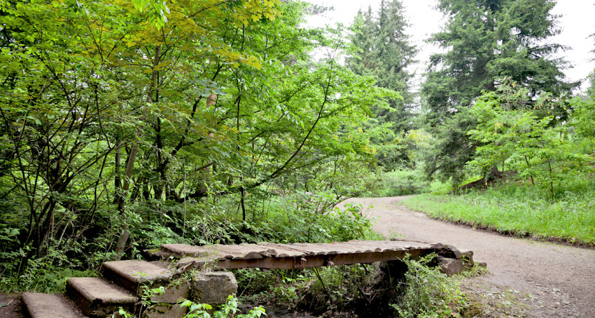 Stepanavan Dendropark, Lori, Armenia