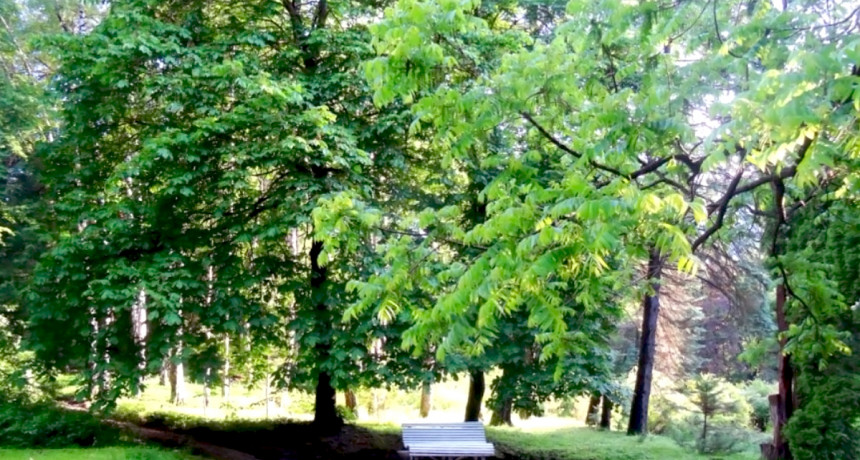 Stepanavan Dendropark, Lori, Armenia