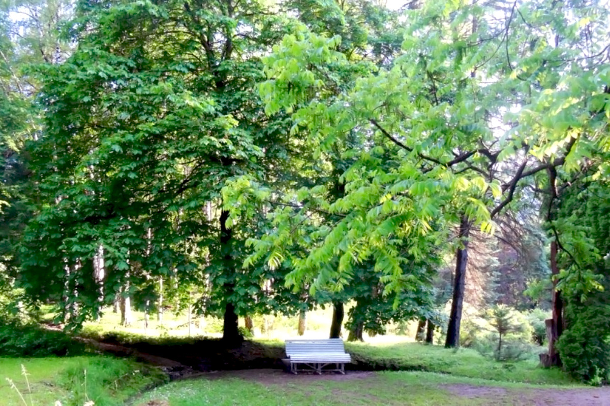 Stepanavan Dendropark, Lori, Armenia