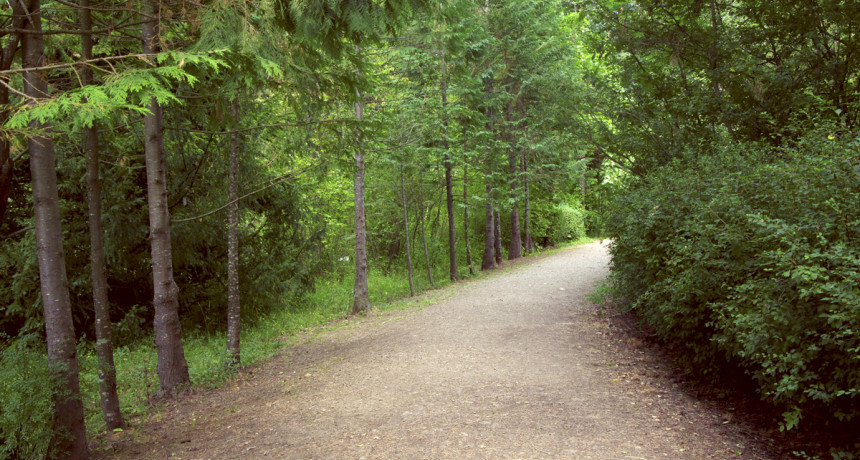 Stepanavan Dendropark, Lori, Armenia