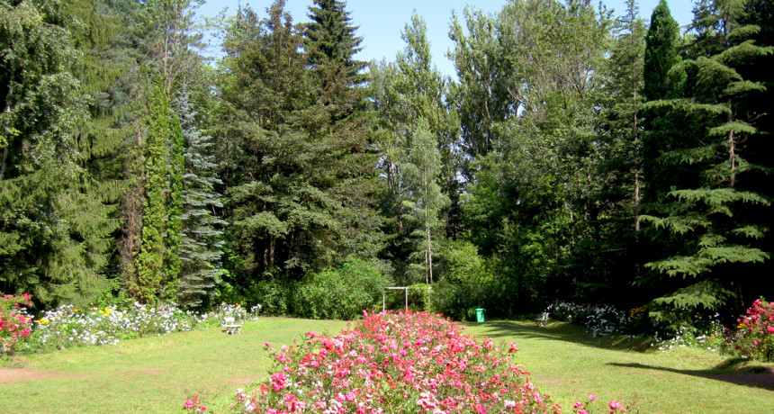 Stepanavan Dendropark, Lori, Armenia