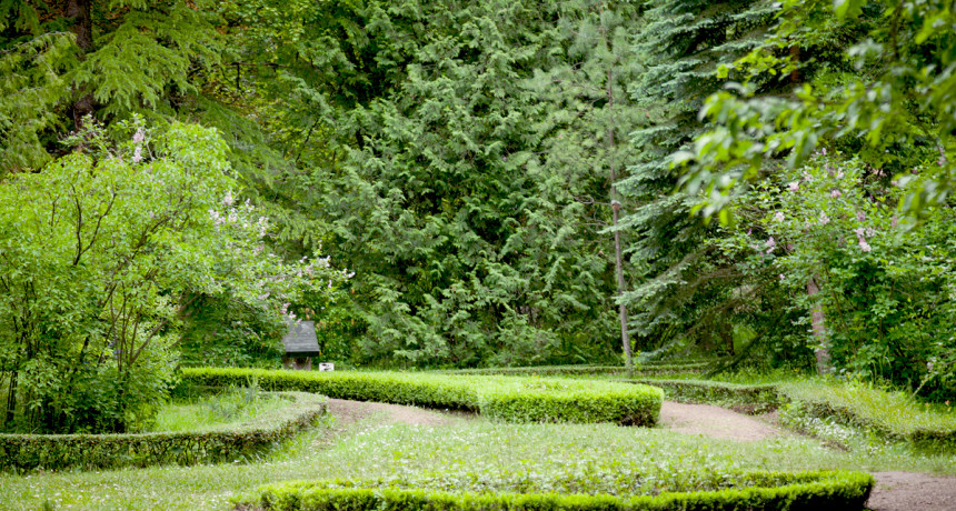 Stepanavan Dendropark, Lori, Armenia