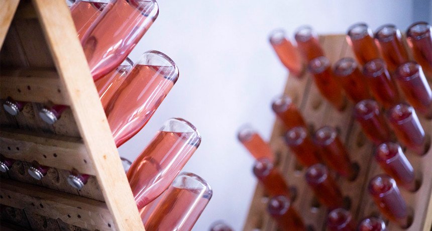 Hovaz Wine Rooms, Tavush, Armenia