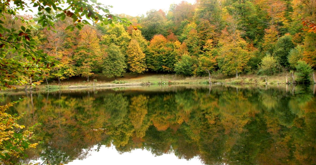 Private tour: Dilijan, Haghartsin, Goshavank, Lake Parz